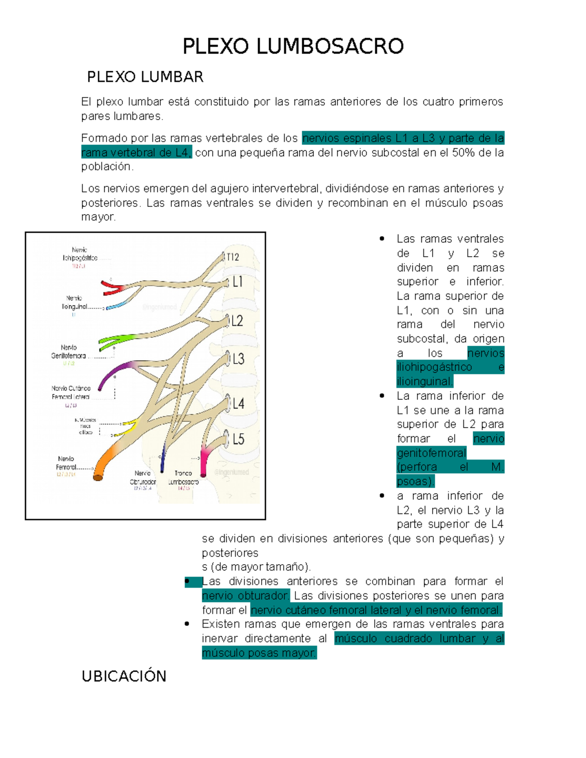 Plexo Lumbar - PLEXO LUMBAR El plexo lumbar está constituido por las ...