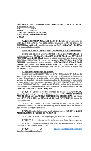 Modelo DE Accion DE Amparo Constitucional - MODELO DE DEMANDA DE ACCIÓN ...