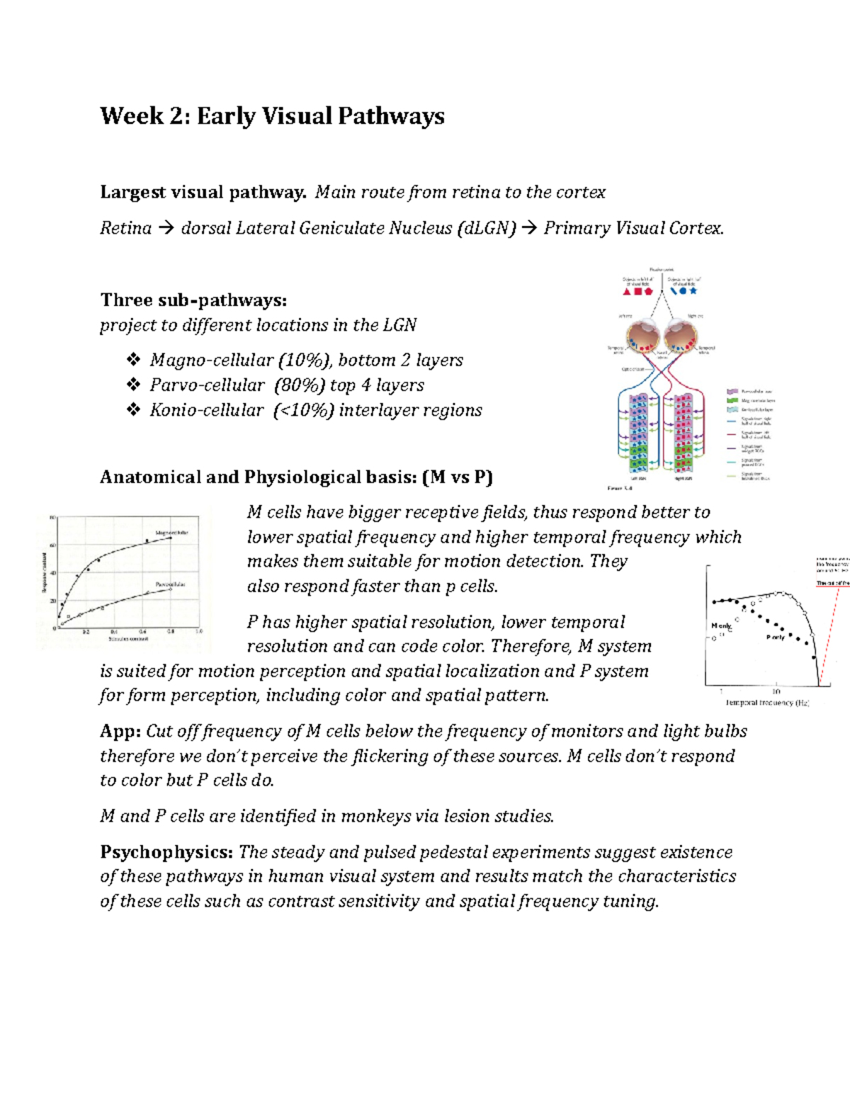 Early visual Pathways - Week 2: Early Visual Pathways - Studocu
