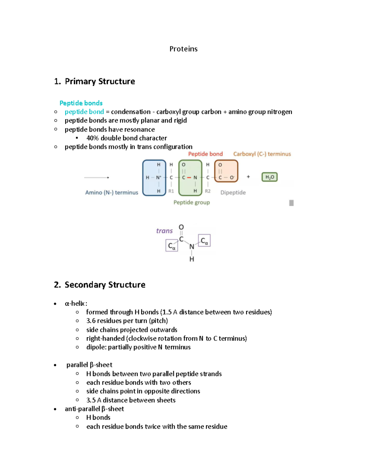 Protein notes (weeks 4-5) - Proteins 1. Primary Structure Peptide bonds ...