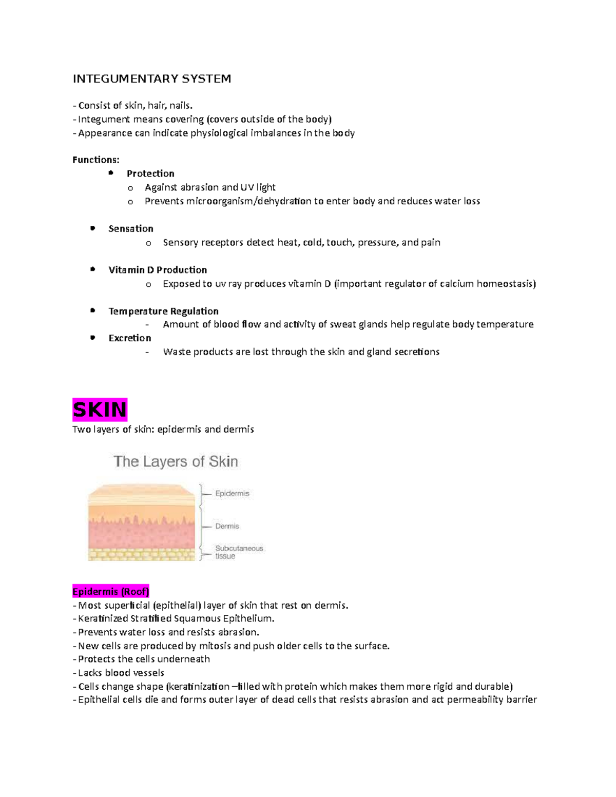 Integumentary System anatomy and physiology - INTEGUMENTARY SYSTEM ...