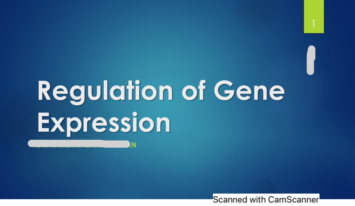 Regulation of the gene expression - Molecular Biology - Studocu