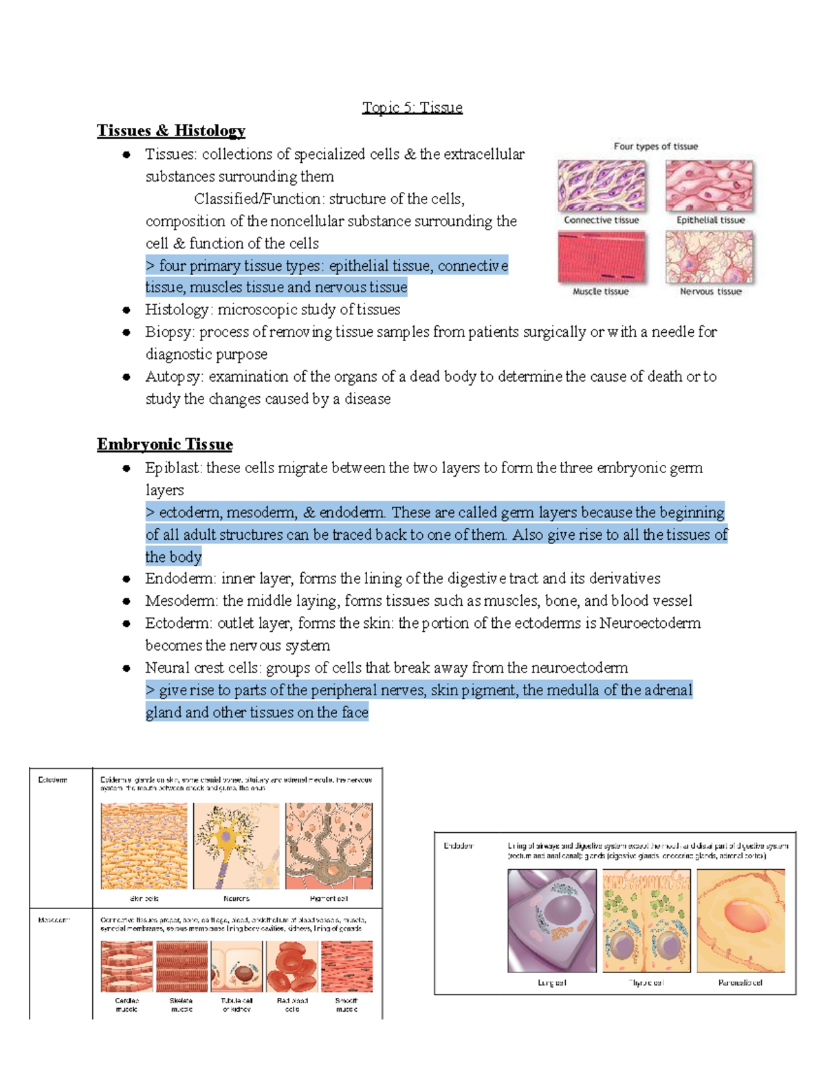 Topic 5 Tissue - dont go to rasmussen - Topic 5: Tissue Tissues ...