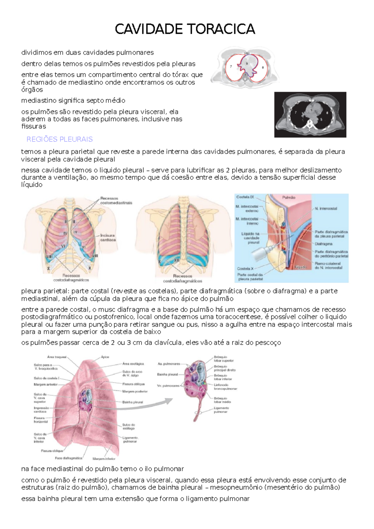 Aula 2 - Parede Torácica parte interna - CAVIDADE TORACICA dividimos em ...