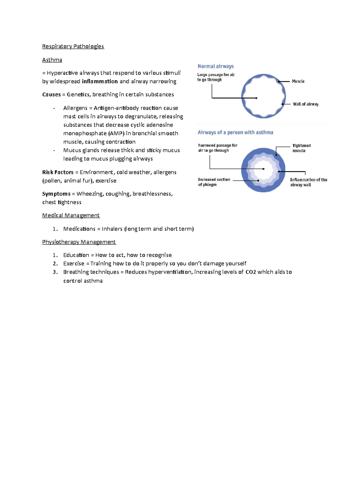 Respiratory pathology - Asthma - Respiratory Pathologies Asthma ...