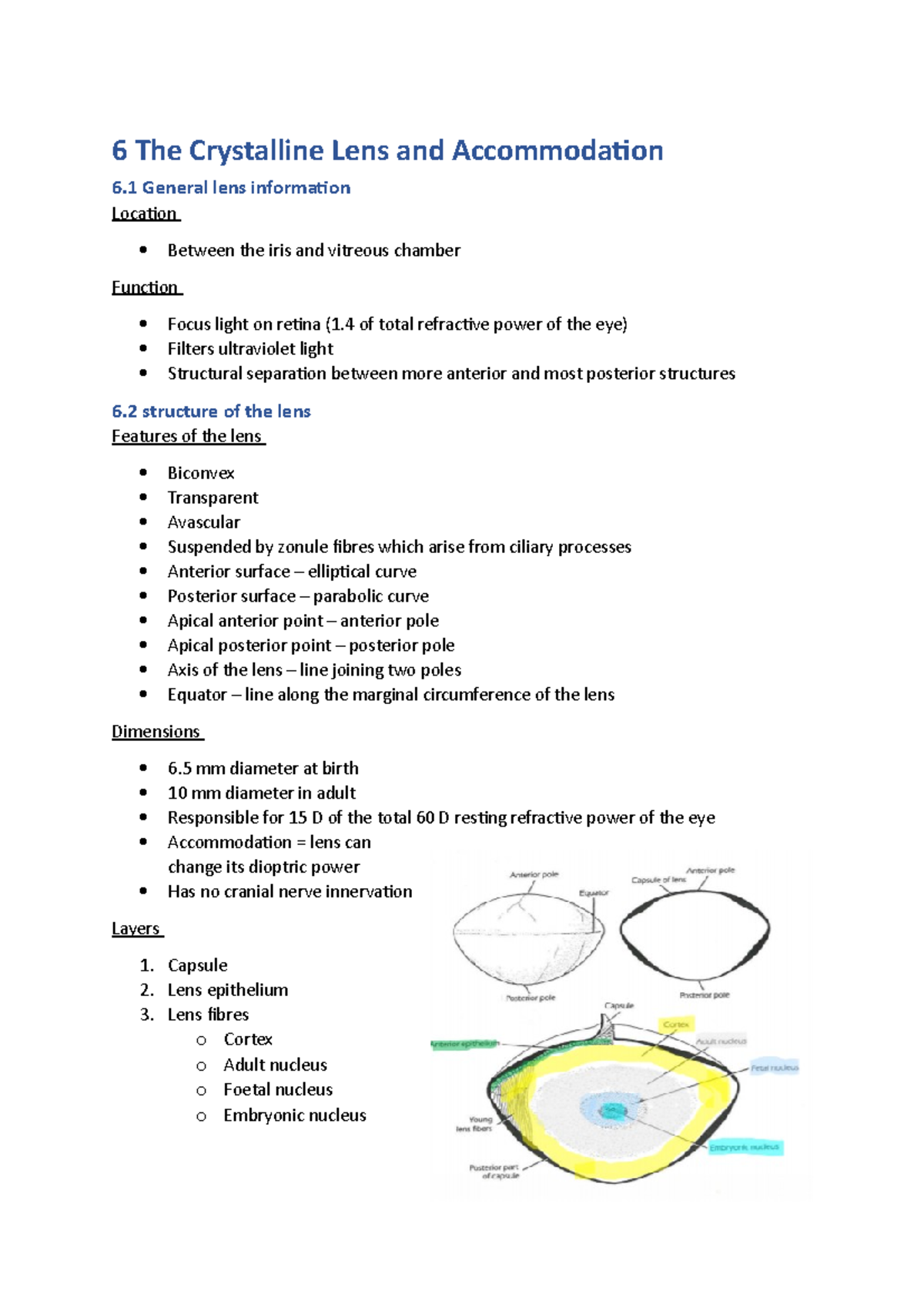 Ocular anatomy lecture 6 - 6 The Crystalline Lens and Accommodation 6 ...