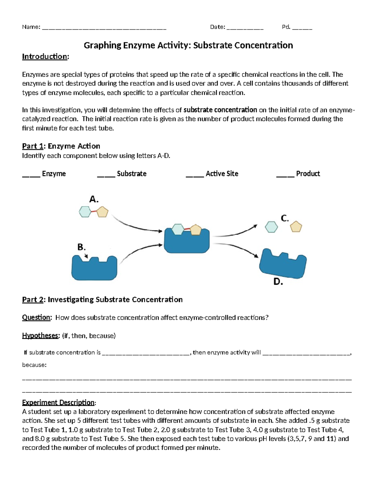 Substrate concentration graphing activity - Name ...