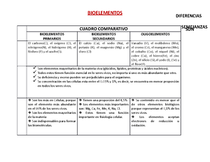 Reactor Lecho Fijo - BIORREACTORESBIORREACTORESBIORREACTORES ¿QUÉ ...