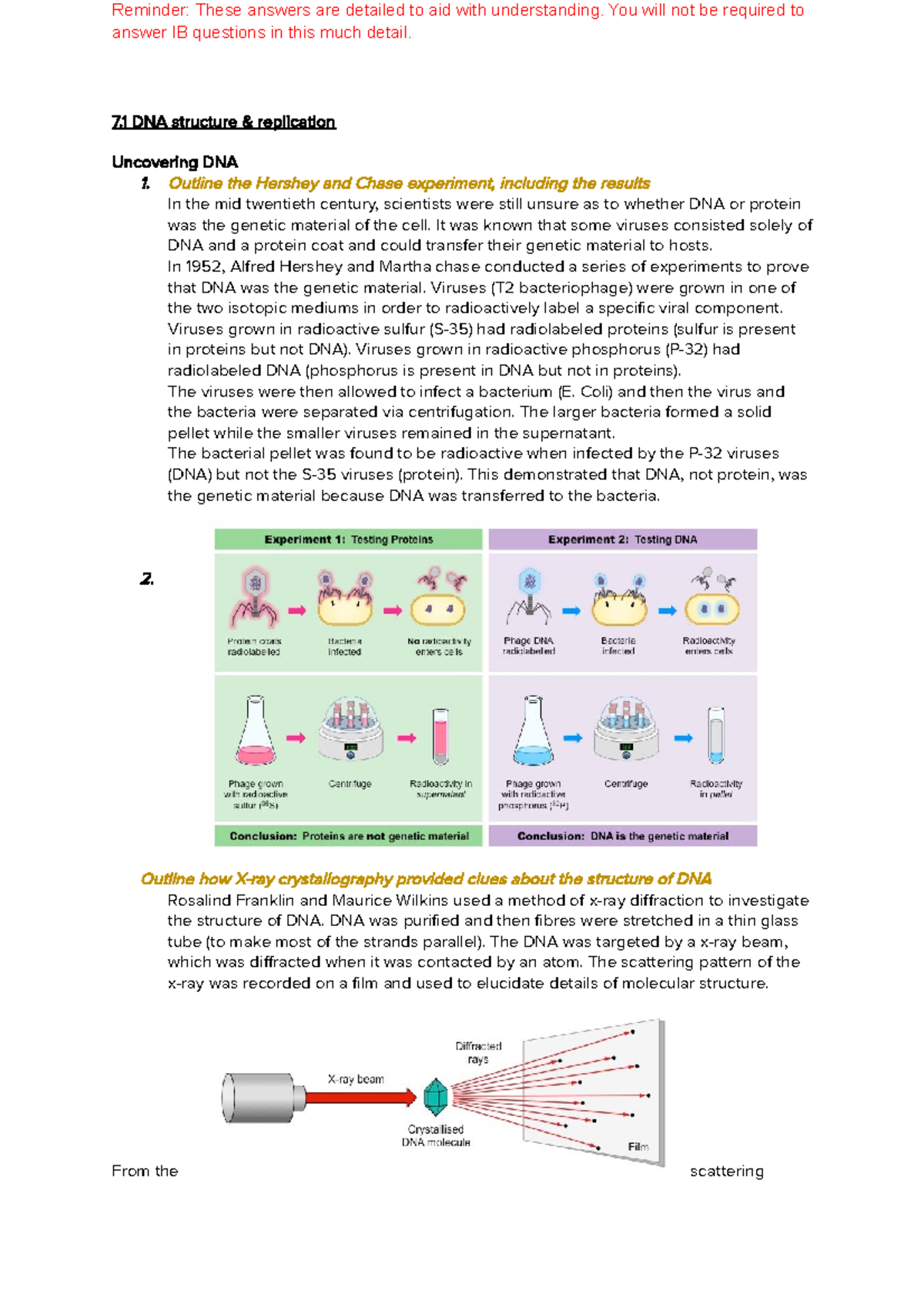 7. Nucleic Acids (HL) - Biology Year 11/12 Band 6 Notes - answer IB ...