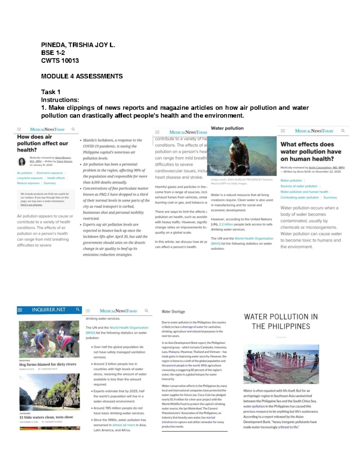 BSE 1-2 Pineda, Trishia JOY L CWTS Module 4 - PINEDA, TRISHIA JOY L ...