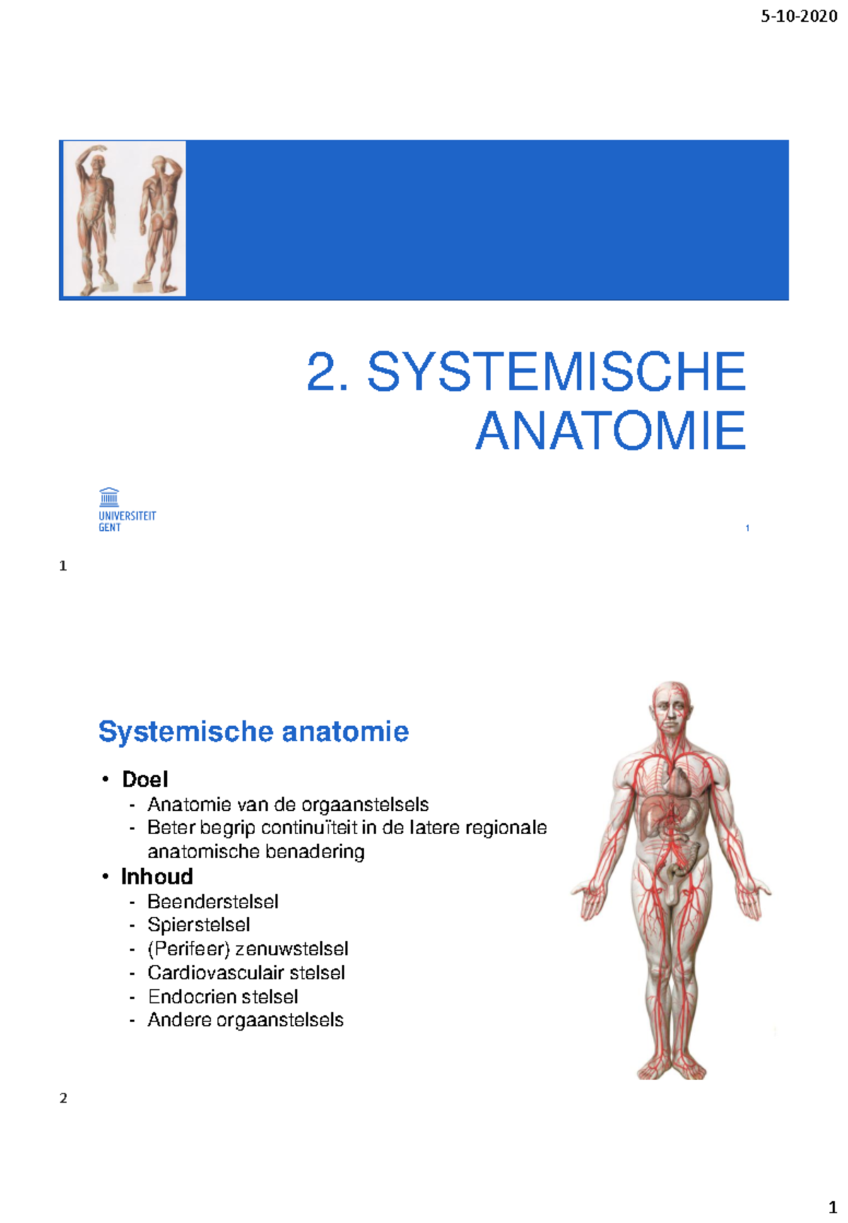Funct Ana 1LO H2 3 - Romp - 2. SYSTEMISCHE ANATOMIE 1 Systemische ...