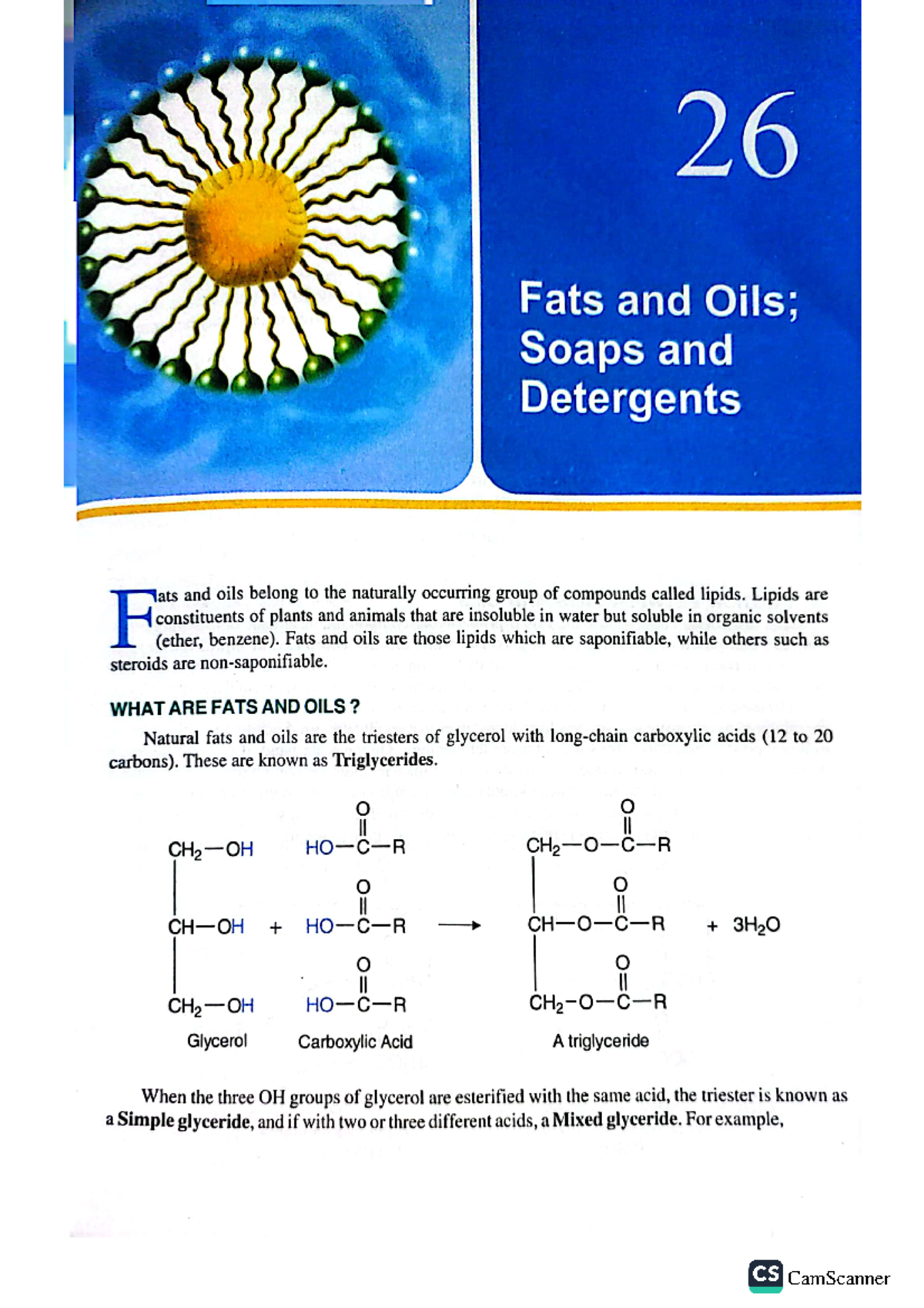 Fats and oils - This chemistry lecture sheet PDF provides a ...