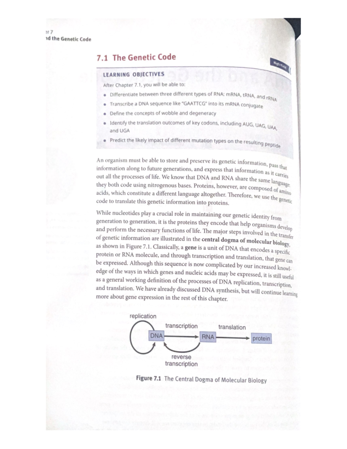 The Genetic Code - CHEM 5534 - Studocu
