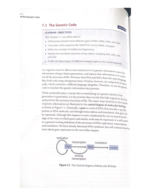 Transfer RNA (t RNA) - Notes provide visual aid and examples to ...