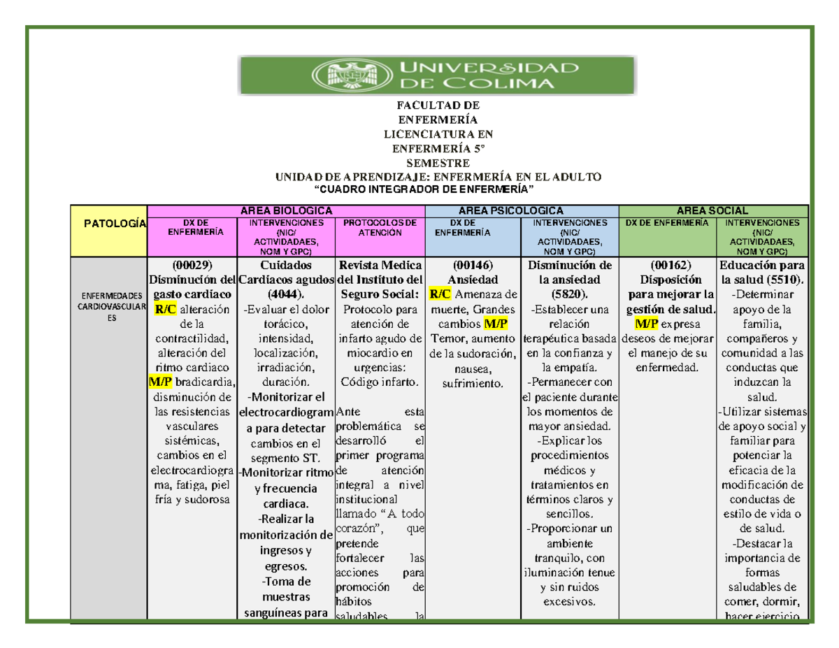 Rubrica- Cuadro- Integrador-DE- Enfermeria- Tutoria-2024 671089 ...