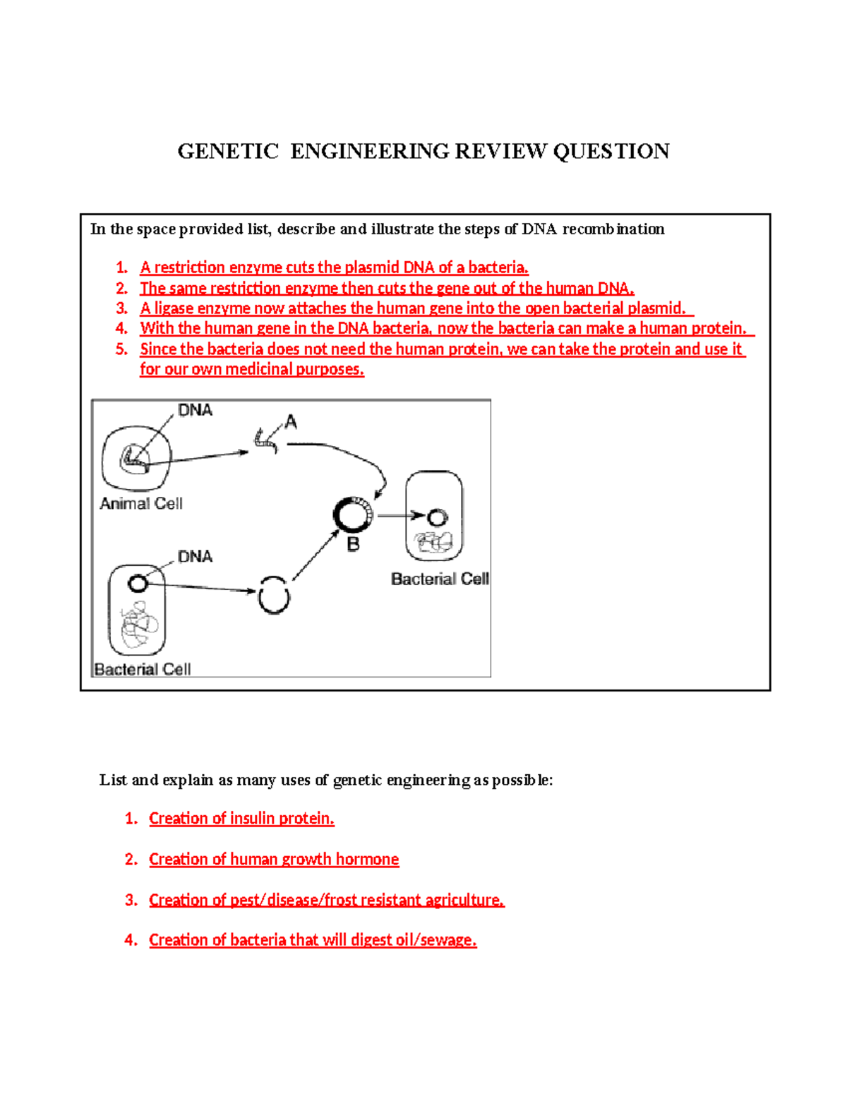 Answers TO Genetic Engineering Review Question - GENETIC ENGINEERING ...