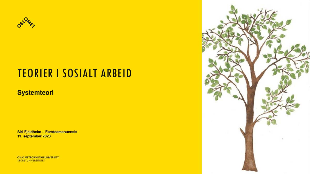Teorier i sosialt arbeid systemteori H2023 - TEORIER I SOSIALT ARBEID ...