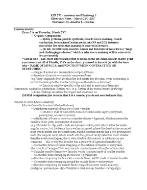 Kin 270 - Exam 3 Notes - Unit 9: Central Nervous System The spinal cord ...