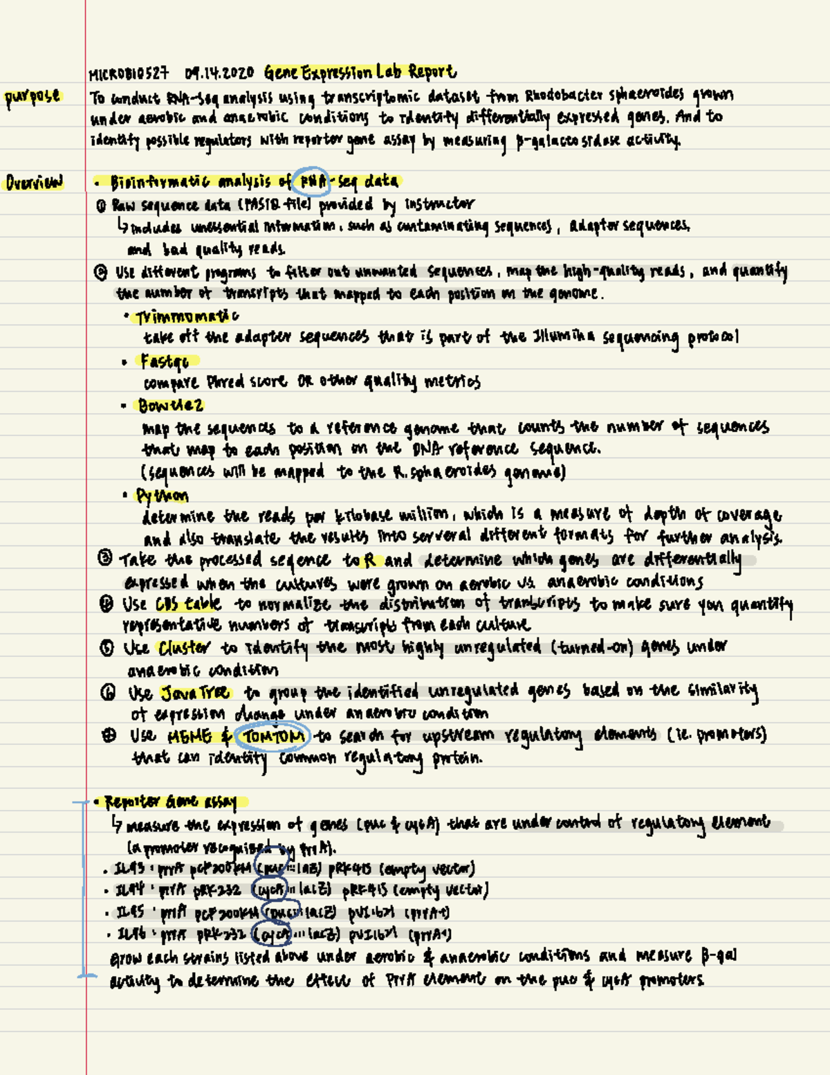 Gene Expression Lab Report - MICRO 1310527 09 .14 Gene Expression lab ...
