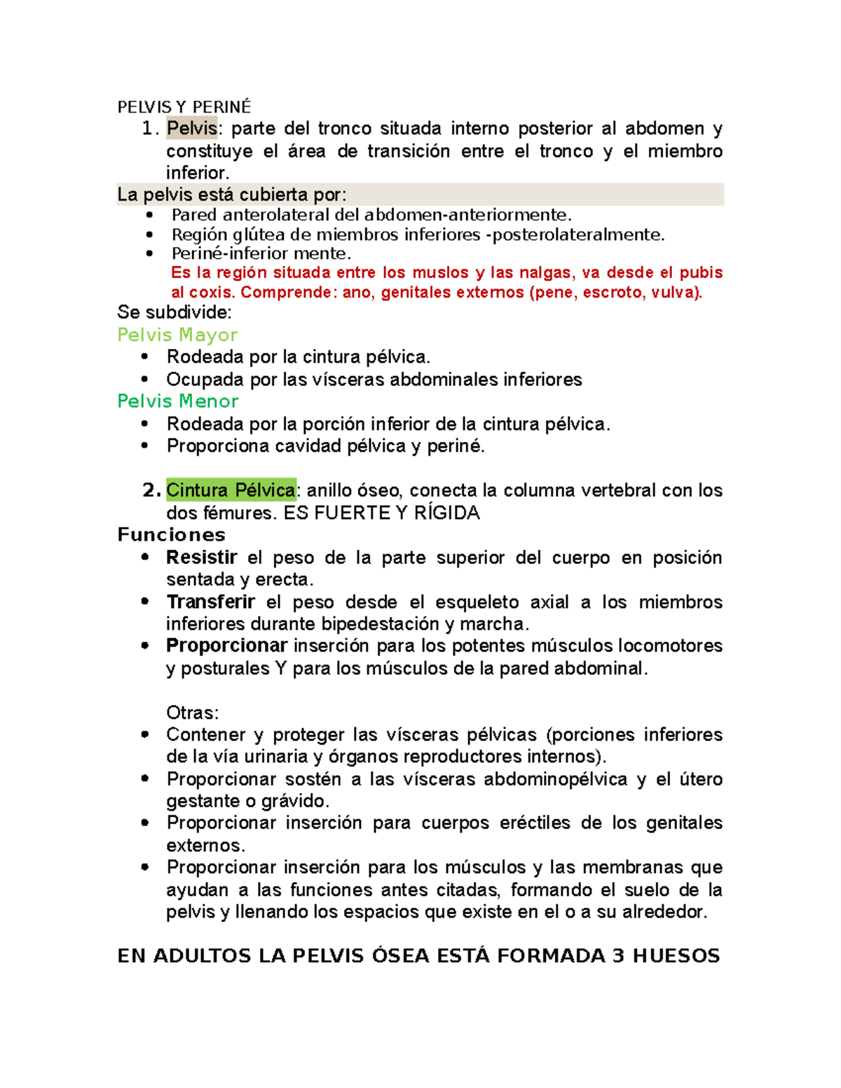 Pelvis Y Periné - PELVIS Y PERINÉ 1: parte del tronco situada interno ...