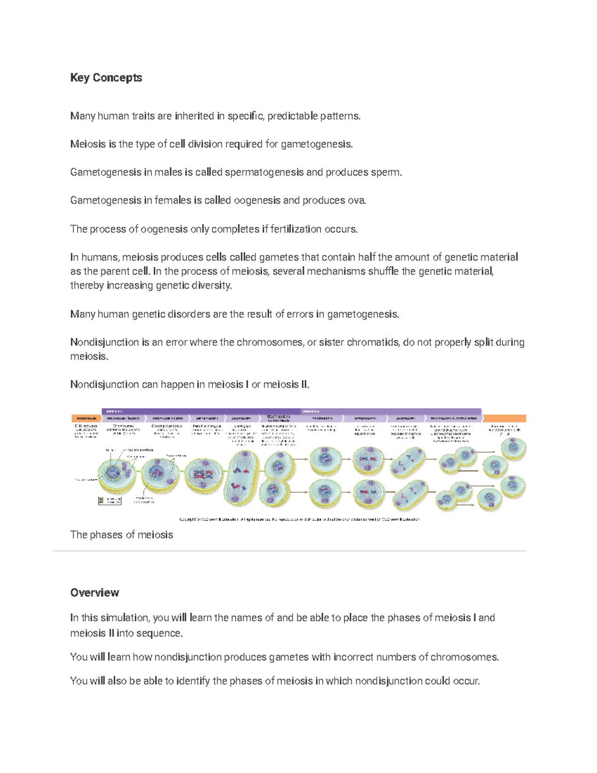 Genetics Lab 3 - practice - Key Concepts Many human traits are ...
