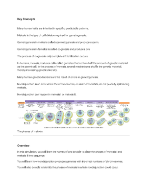 Genetics Lab 2 - practice - Lab 2: Genetic traits are inherited in ...