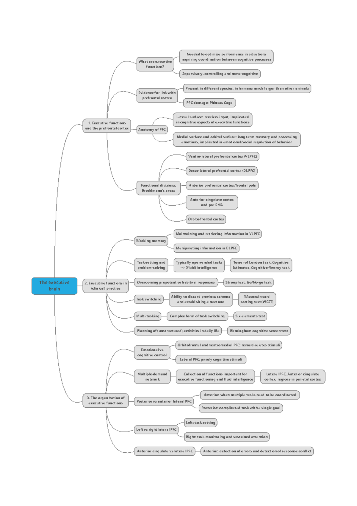The executive brain - Mindmap - The executive brain Executive functions and the prefrontal ...