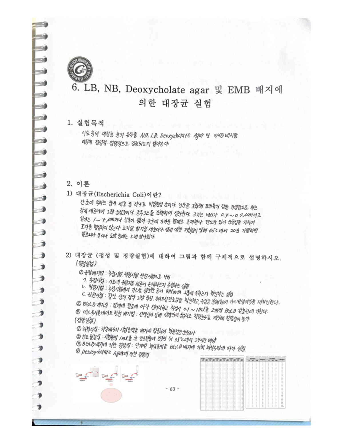 LB, NB, Deoxycholate agar, EMB 배지 예비 레포트 - E9 LABIL fato (101084 athloupRoxsad lafy (LOPASTATE ...