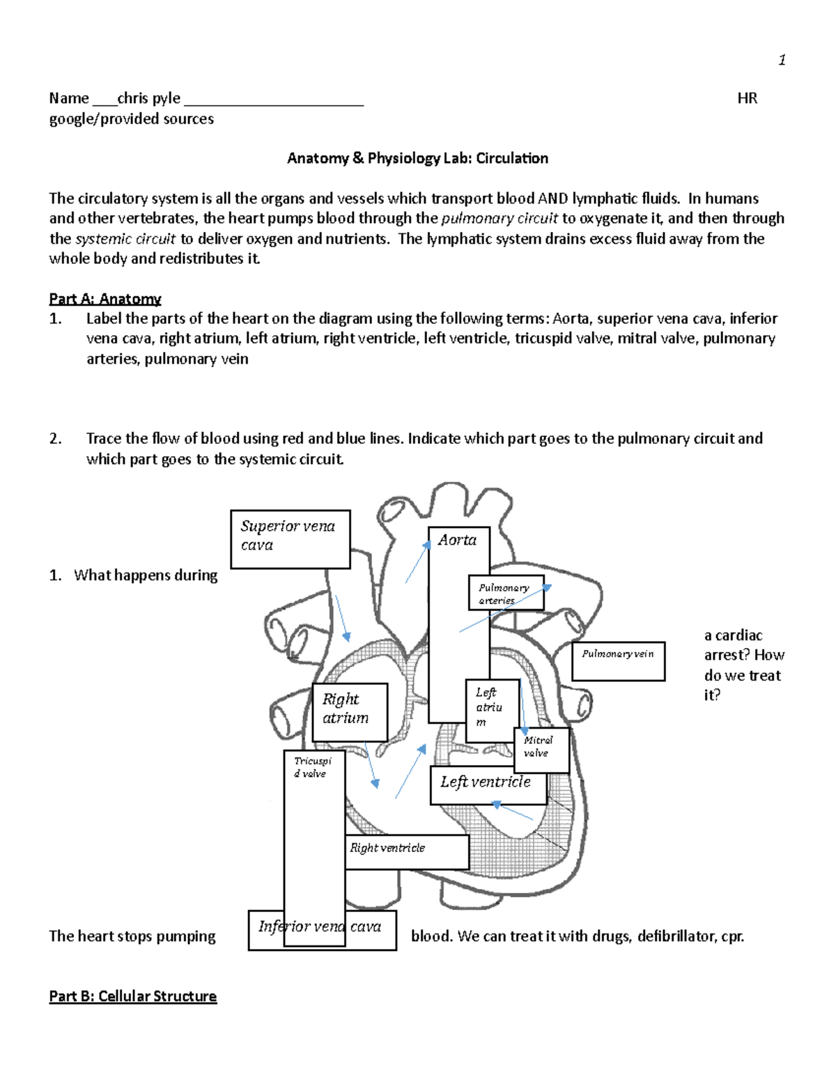 Circulation Lab - Handout 1st online lab - 1 Name ___chris pyle ...
