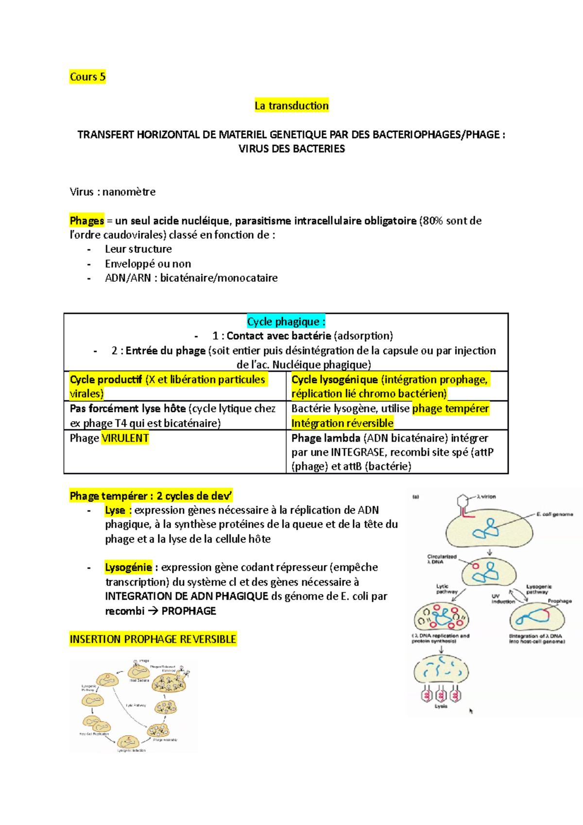 cours transduction - Cours 5 La transduction TRANSFERT HORIZONTAL DE ...