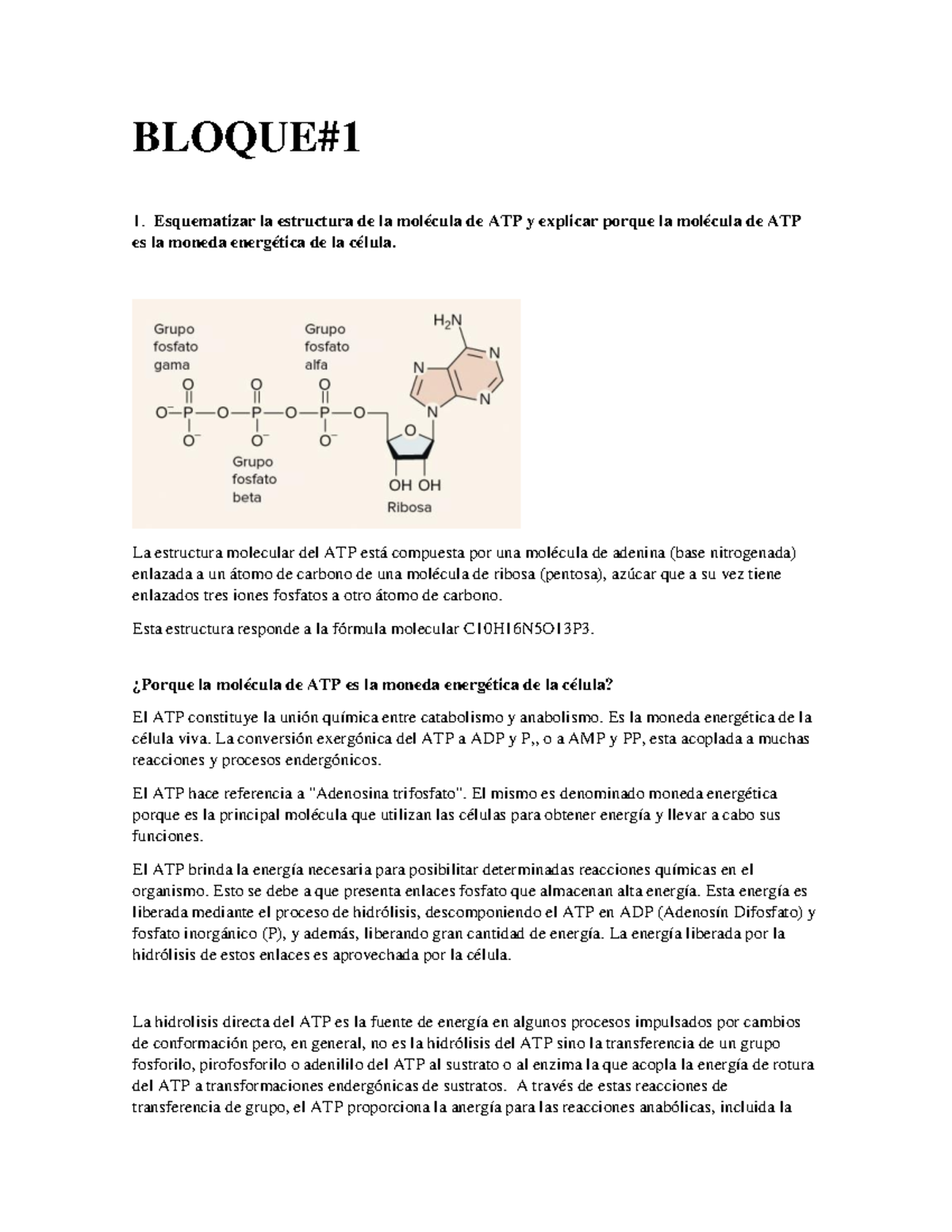 Bloque#1 objetivos 1,2,3 - BLOQUE# Esquematizar la estructura de la ...