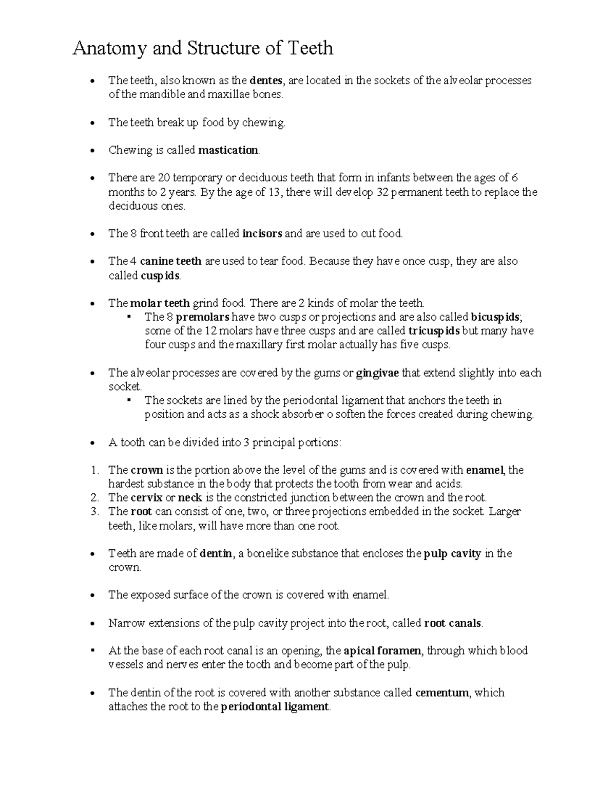 Anatomy and Physiology of Teeth - Anatomy and Structure of Teeth The ...