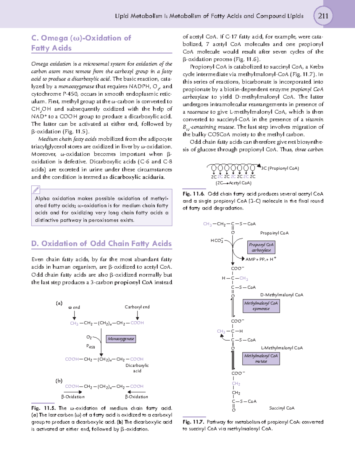 Biochemistry 1-78 - N/A - Lipid Metabolism I: Metabolism of Fatty Acids ...