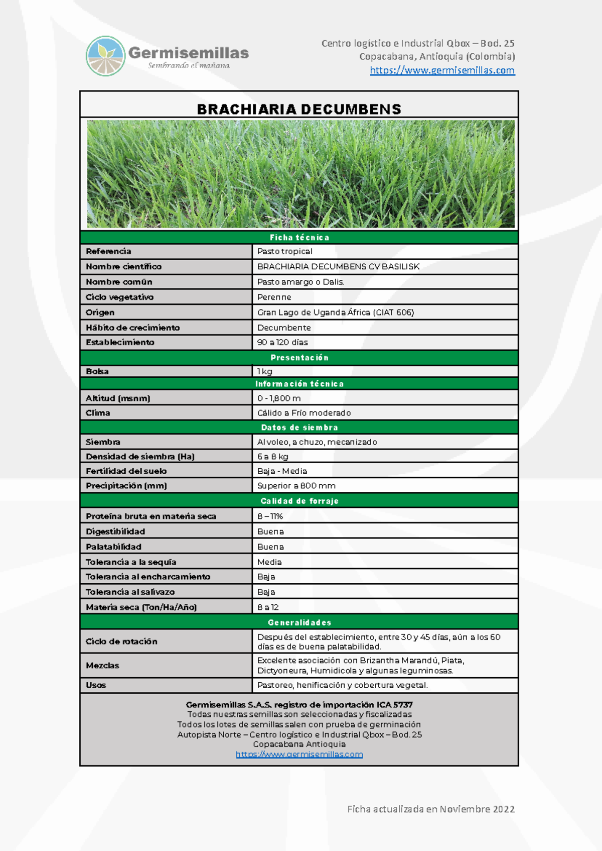 Ficha-tecnica-brachiaria-decumbens - Centro logístico e Industrial Qbox ...