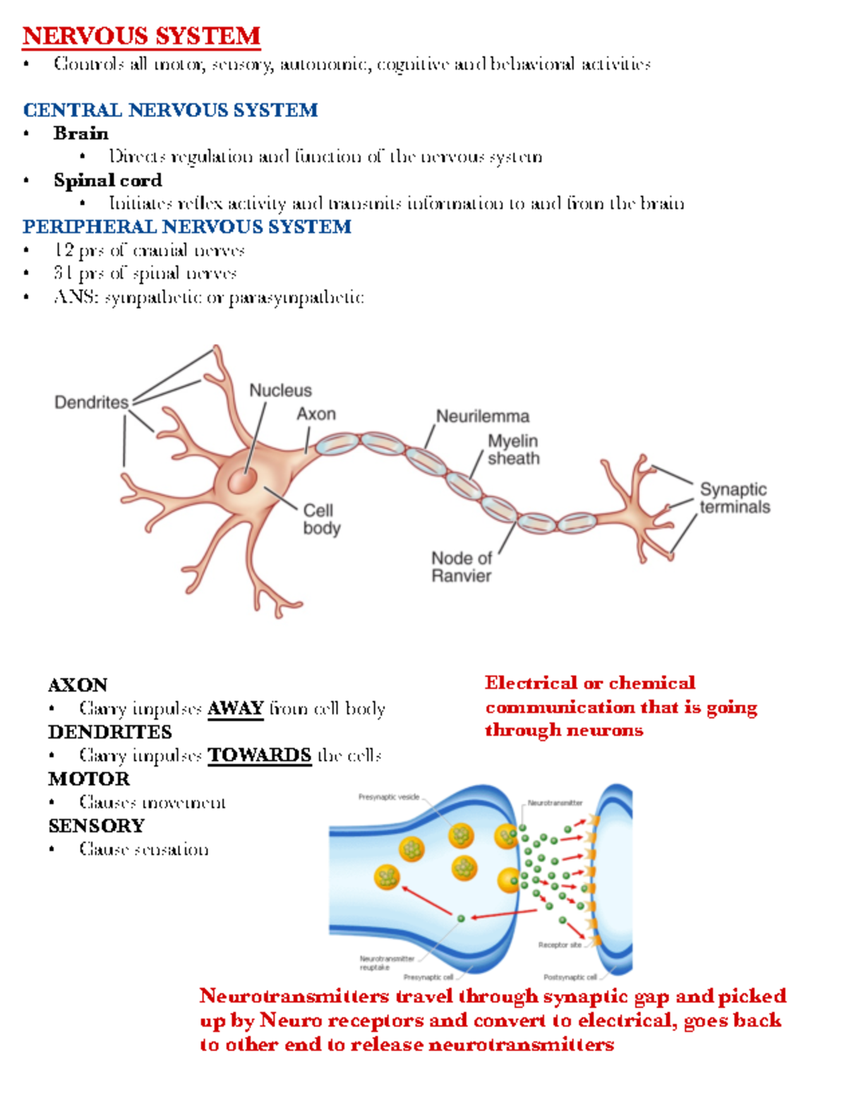 Neurological Function - NERVOUS SYSTEM • Controls all motor, sensory ...