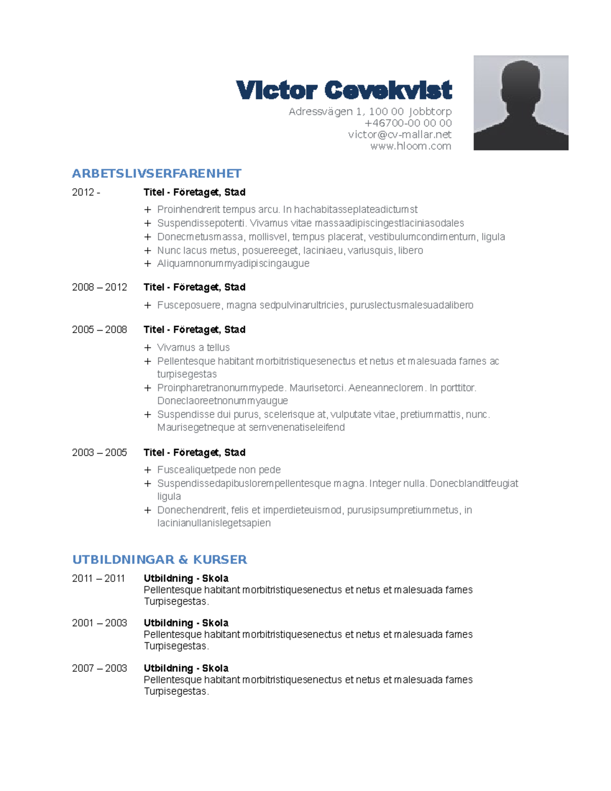 CV Mall 3 - CV hur man skriver CV CV hur man skriver CV och PB för ...