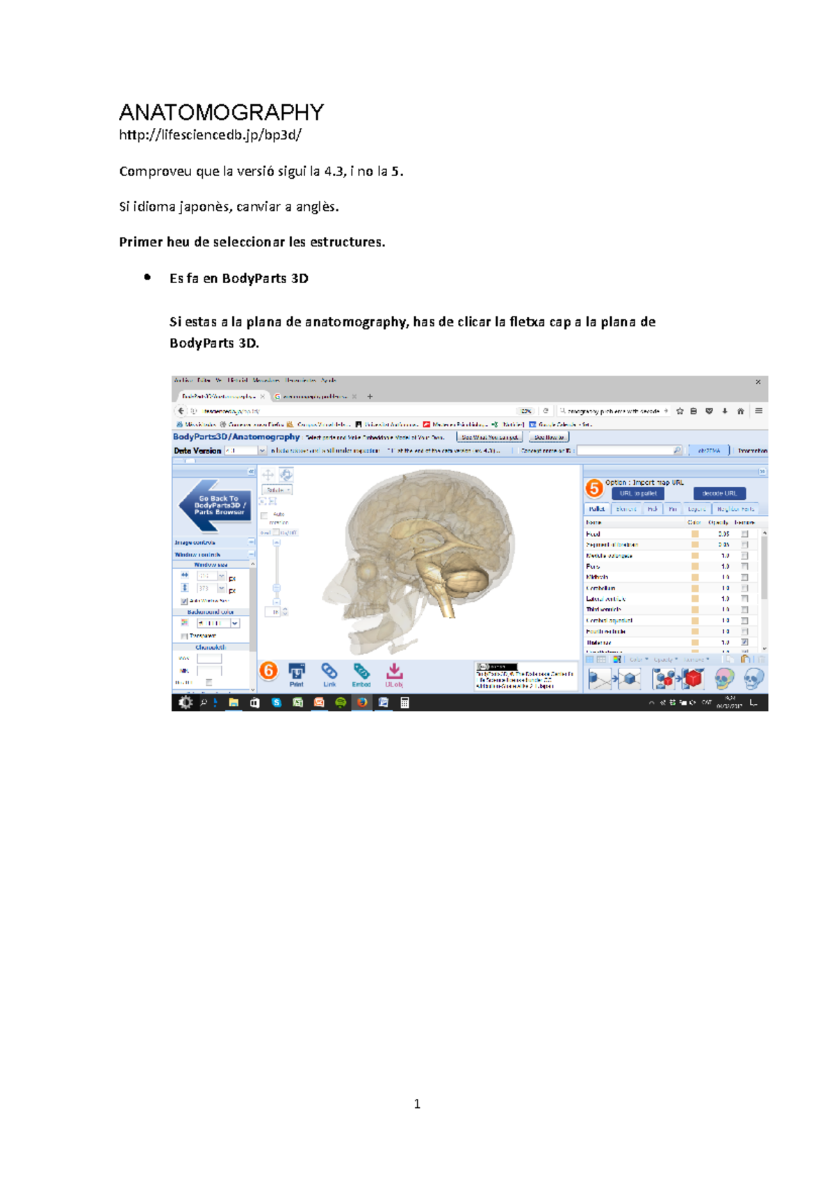 Pràctica 2. Instruccions Anatomography - ANATOMOGRAPHY lifesciencedb ...