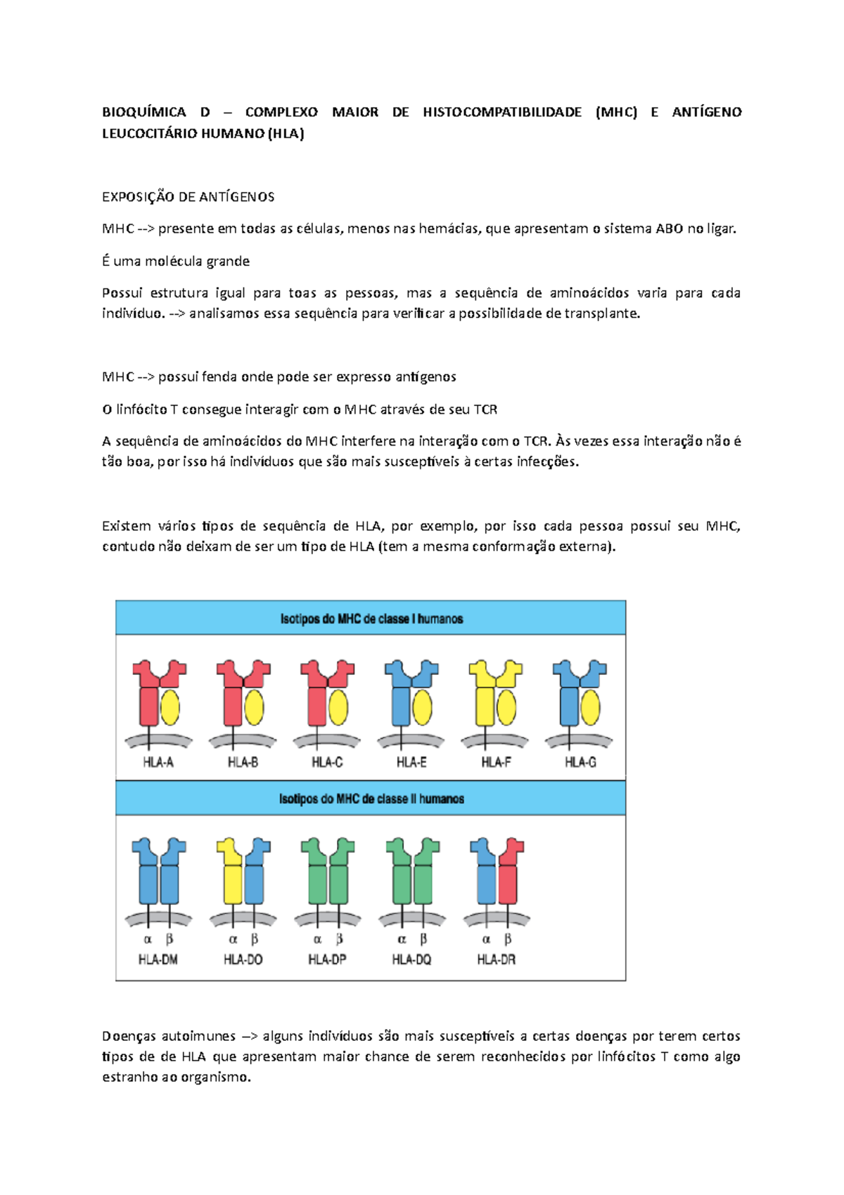 Bioquímica D - MHC e HLA - Anotações de aula - D COMPLEXO MAIOR DE ...