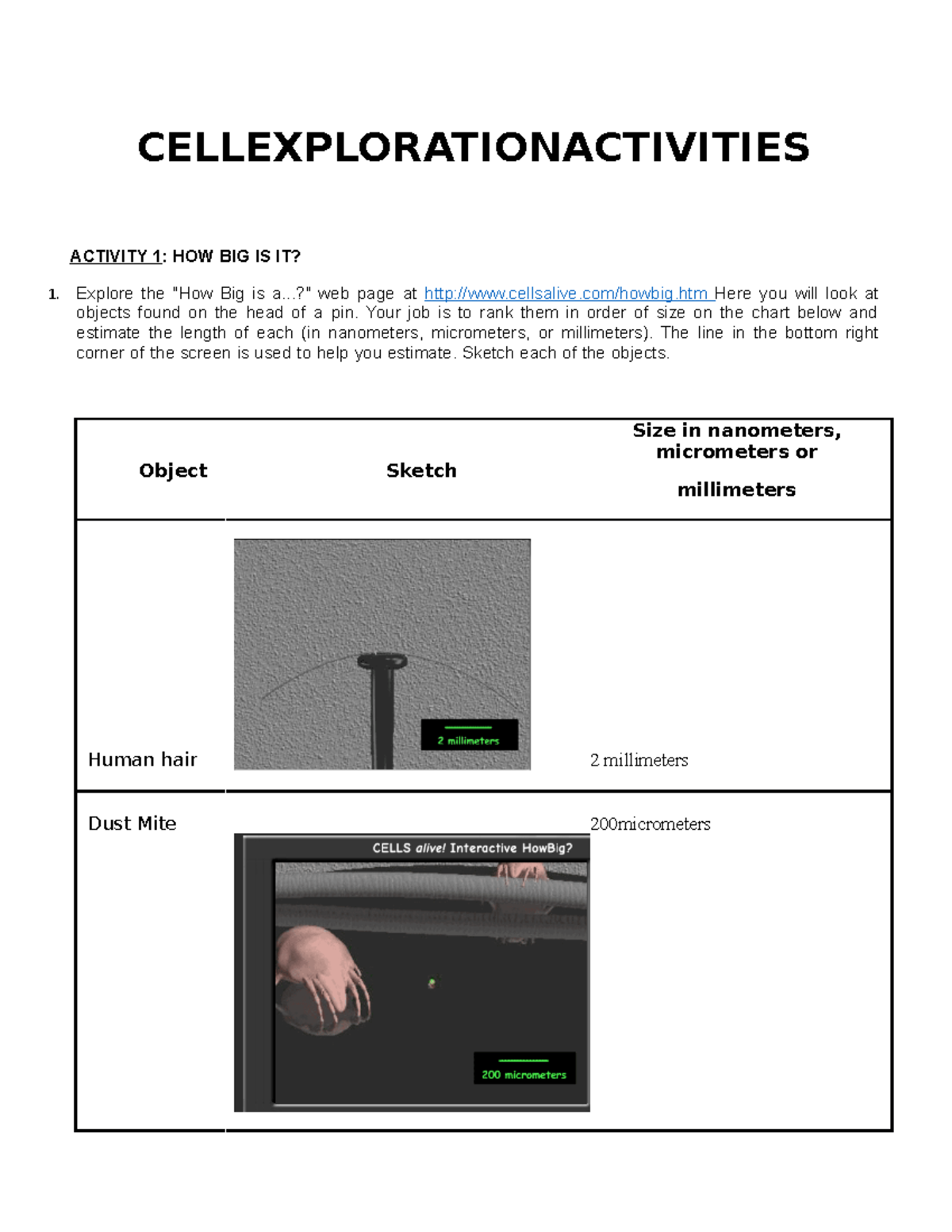 Cell Exploration Activity - CELLEXPLORATION ACTIVITIES ACTIVITY 1: HOW BIG IS IT? 1. Explore the ...