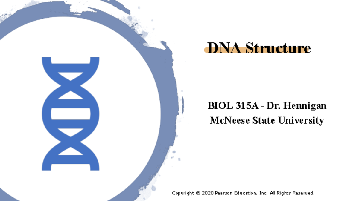Lecture 2 - Notes - DNA Structure ####### BIOL 315A - Dr. Hennigan ...