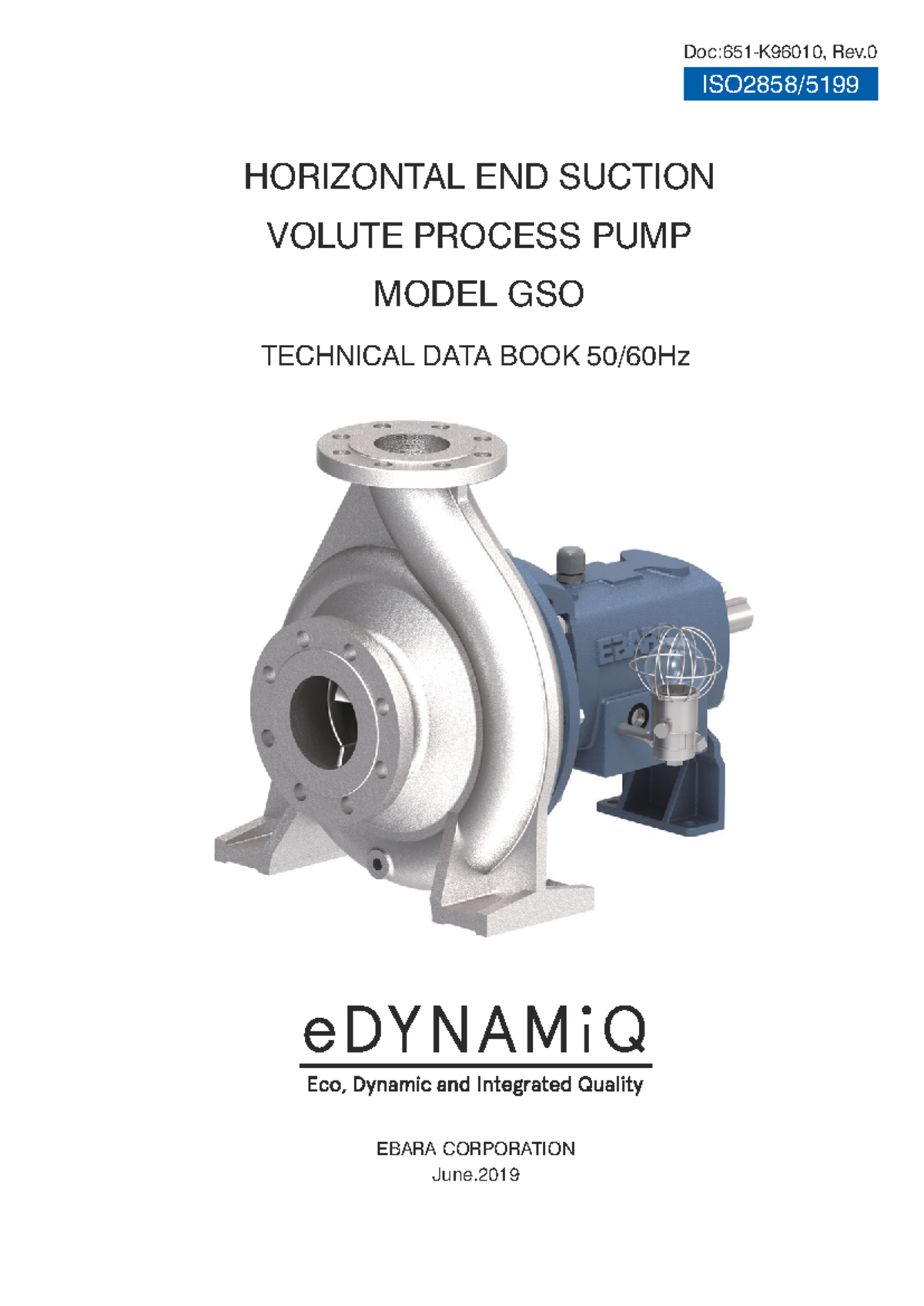 GSO Technical Data Book - HORIZONTAL END SUCTION VOLUTE PROCESS PUMP ...
