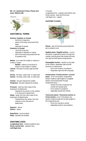 Anatomical Planes and Frog's External Parts - PCZO101 : GENERAL ZOOLOGY ...