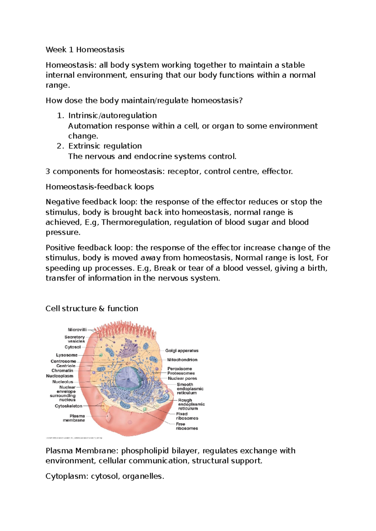 HP test 1 review - Week 1 Homeostasis Homeostasis: all body system ...