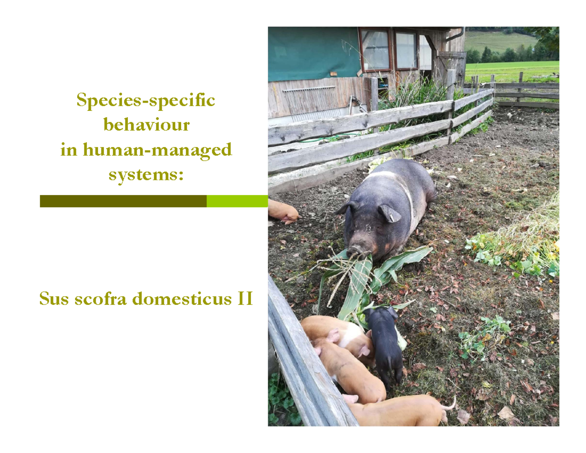 Lecture 18 F22 species specific behaviour pigs II [Compatibility Mode ...