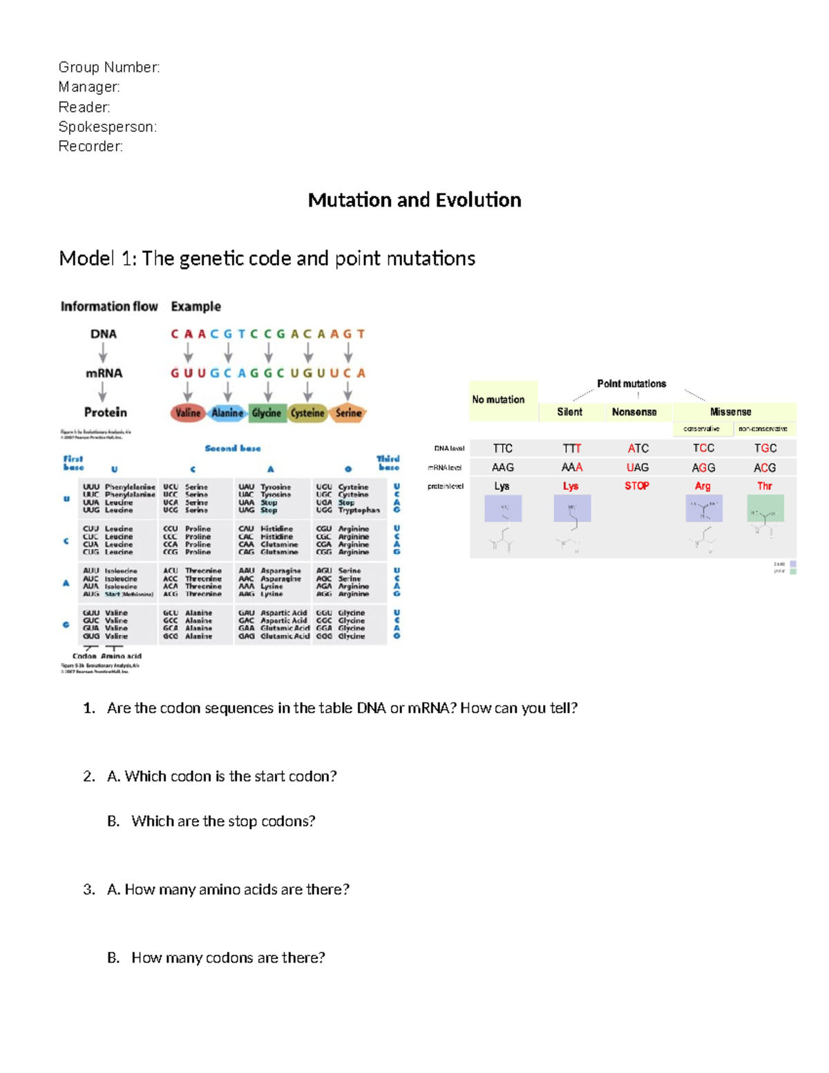 Mutations Pogil - Group Number: Manager: Reader: Spokesperson: Recorder ...