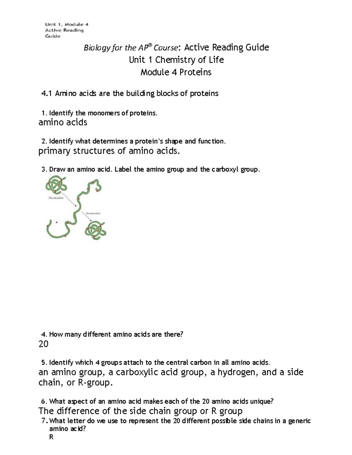 K Copy of Module 4 Active Reading Guide - Biology for the AP ® Course ...