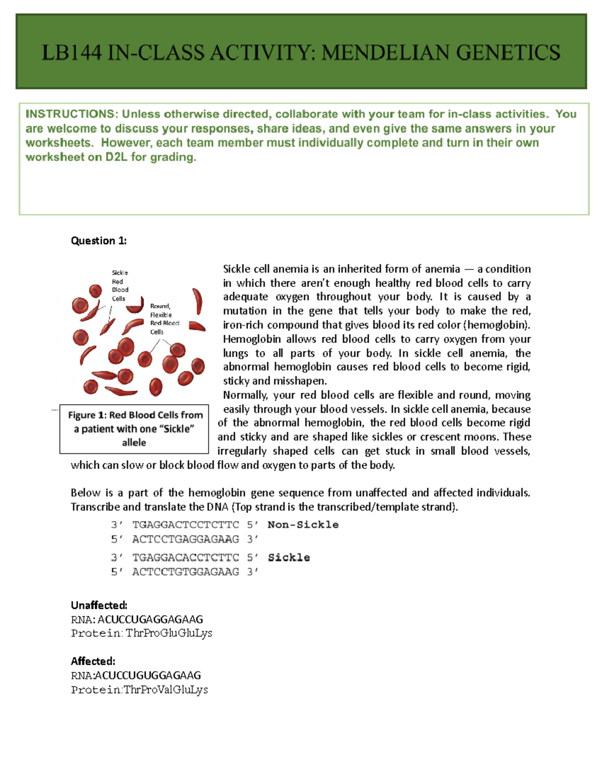 In Class Activity - Mendelian Genetics - Question 1: Sickle cell anemia ...