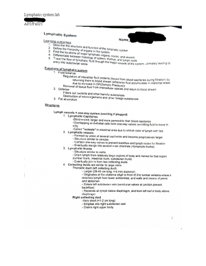 Nursing Skill charting Straight cath 4 - ACTIVE LEARNING TEMPLATES ...