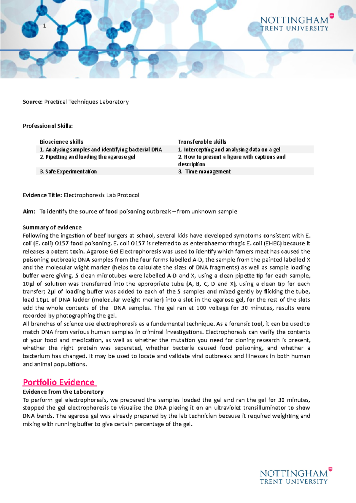 22-23 Skills Portfolio Template - Student Number: N1090127 Date: 18/11 ...