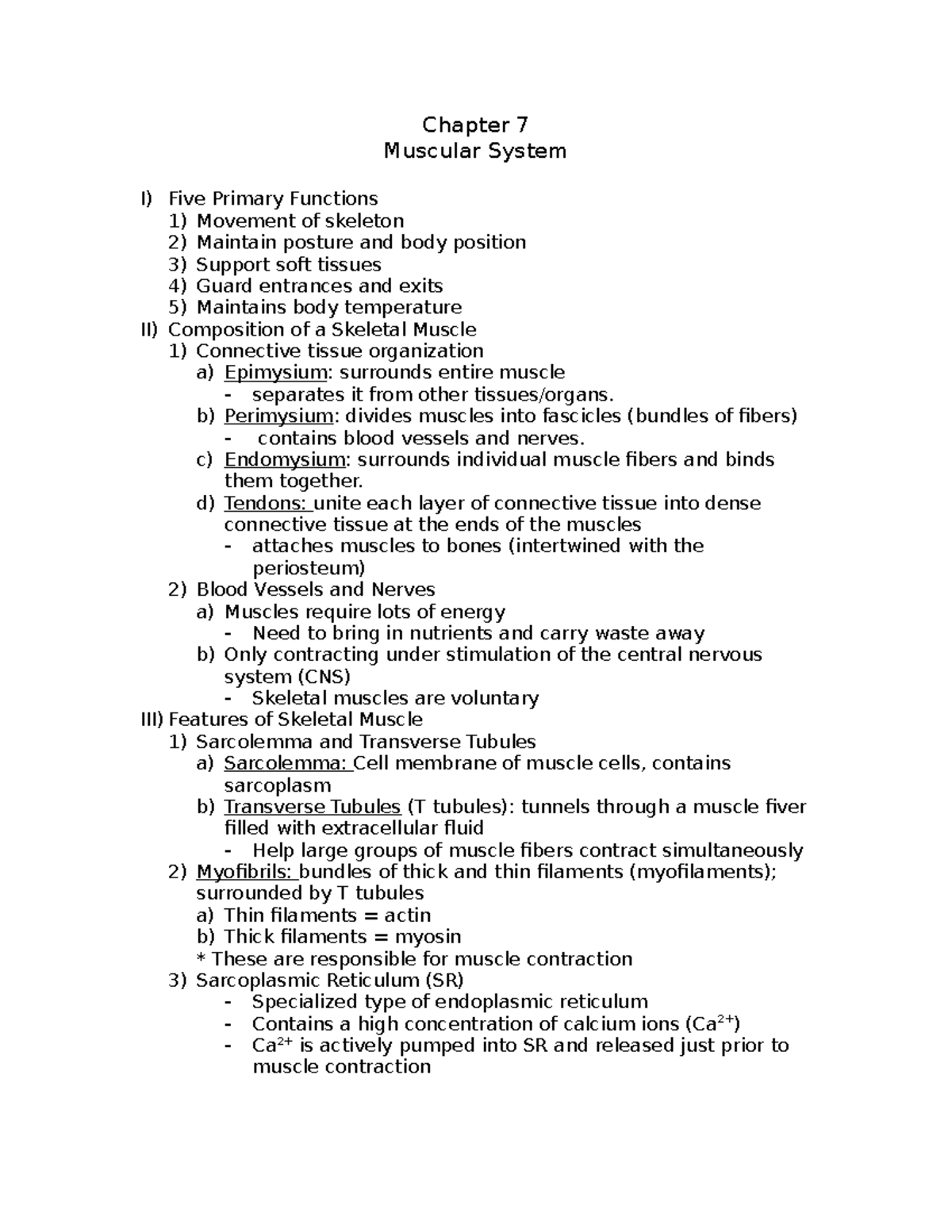 23962469 Anatomy Notes Muscular System - Chapter 7 Muscular System I ...